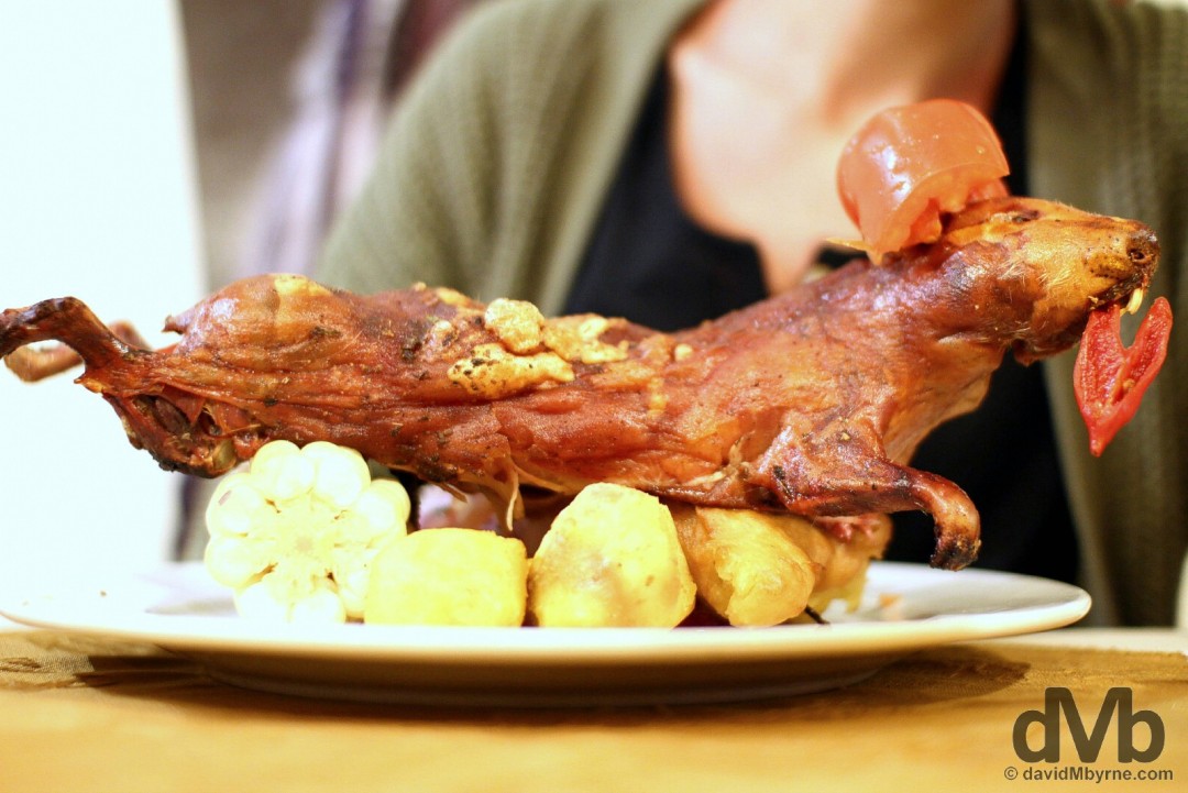 Cuy Cusco Peru - Worldwide Destination Photography & Insights