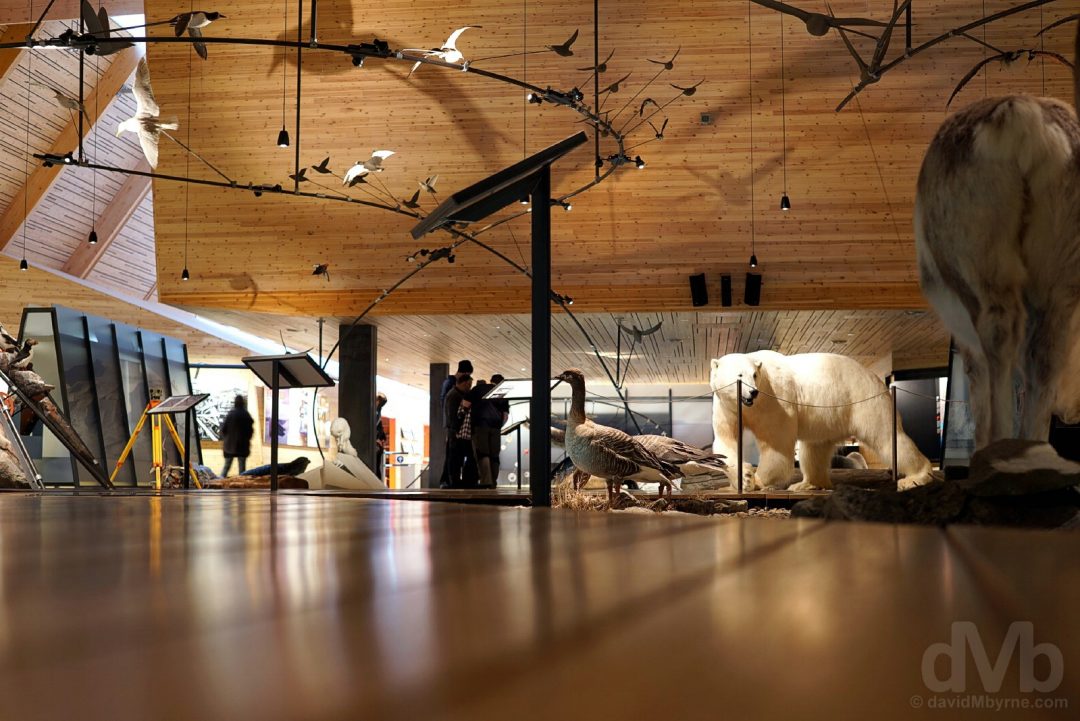 svalbard museum longyearbyen svalbard norway - Worldwide Destination Photography & Insights