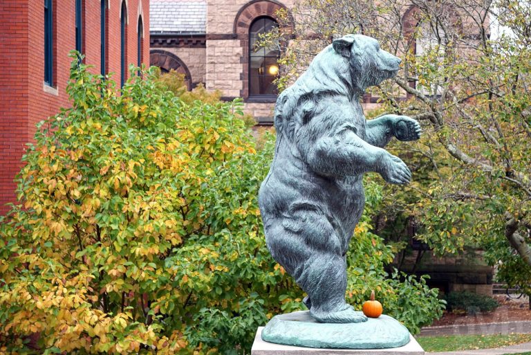 Bruno the Bear Brown University Providence Rhode Island - Worldwide ...